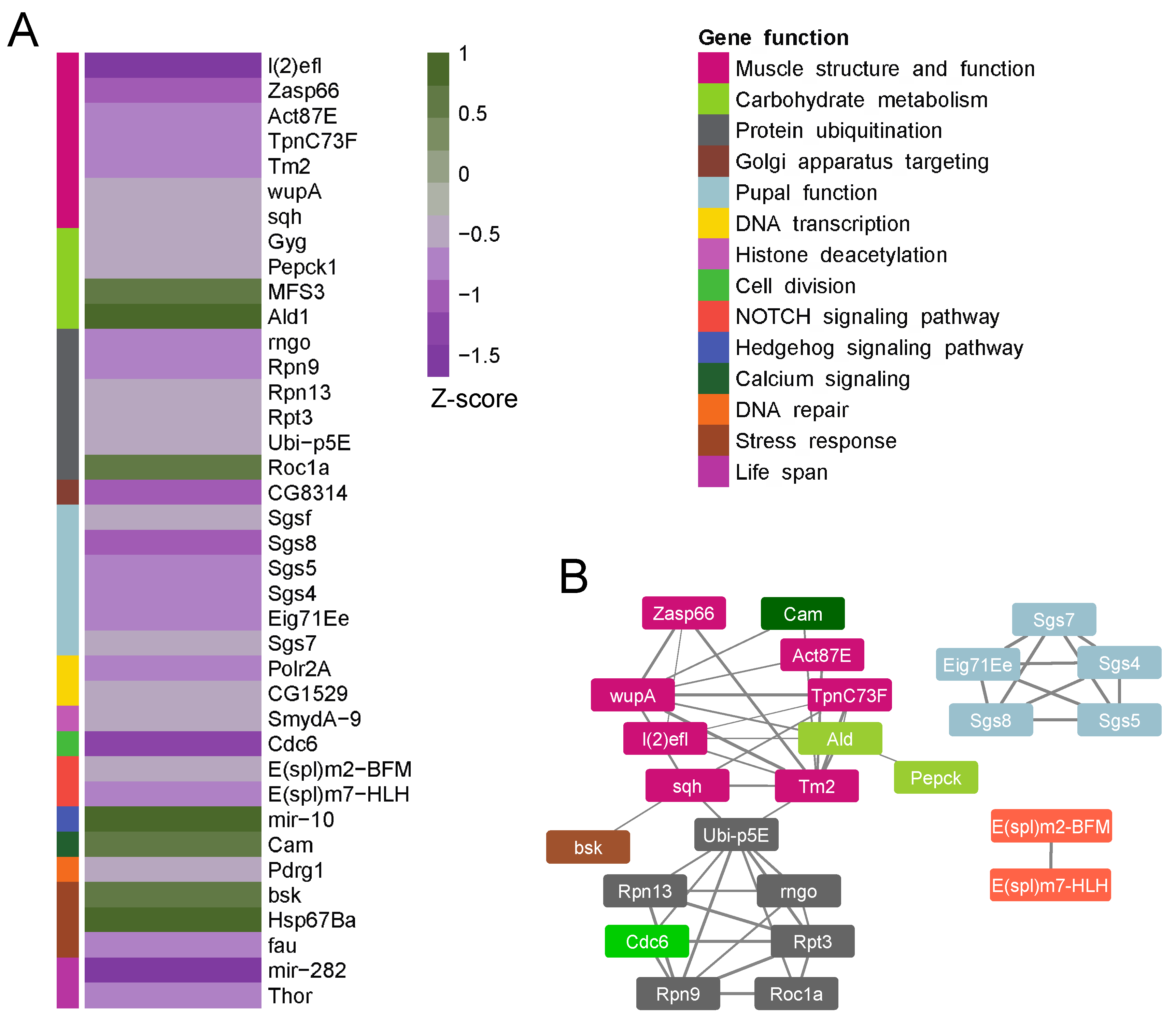 Sedentary Behavior Impacts on the Epigenome and Transcriptome: Lessons ...