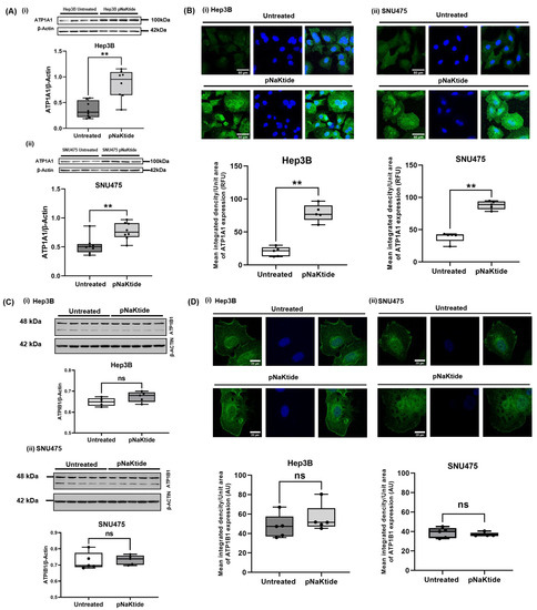 Normalization of the ATP1A1 Signalosome Rescinds Epigenetic ...
