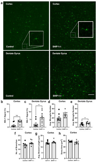 Regulation of Microglial Signaling by Lyn and SHIP-1 in the Steady ...