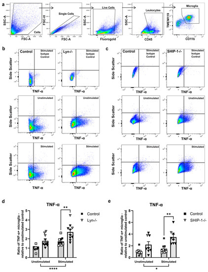 Regulation of Microglial Signaling by Lyn and SHIP-1 in the Steady ...