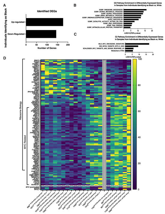 Unlocking Translational Potential: Conditionally Reprogrammed Cells in Advancing Breast Cancer ...