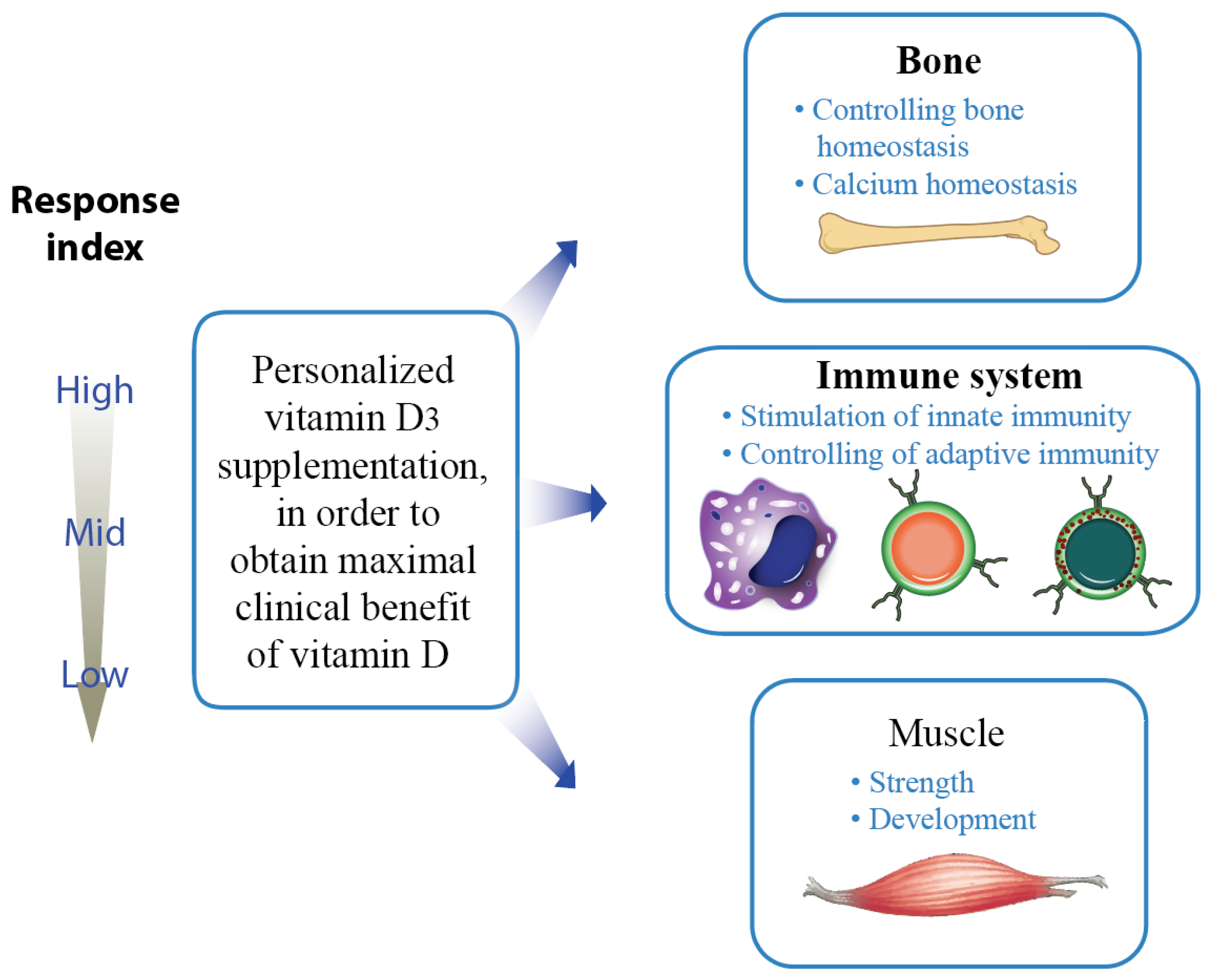 Linking Mechanisms of Vitamin D Signaling with Multiple Sclerosis