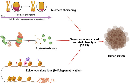 Aging and Age-Related Epigenetic Drift in the Pathogenesis of Leukemia ...