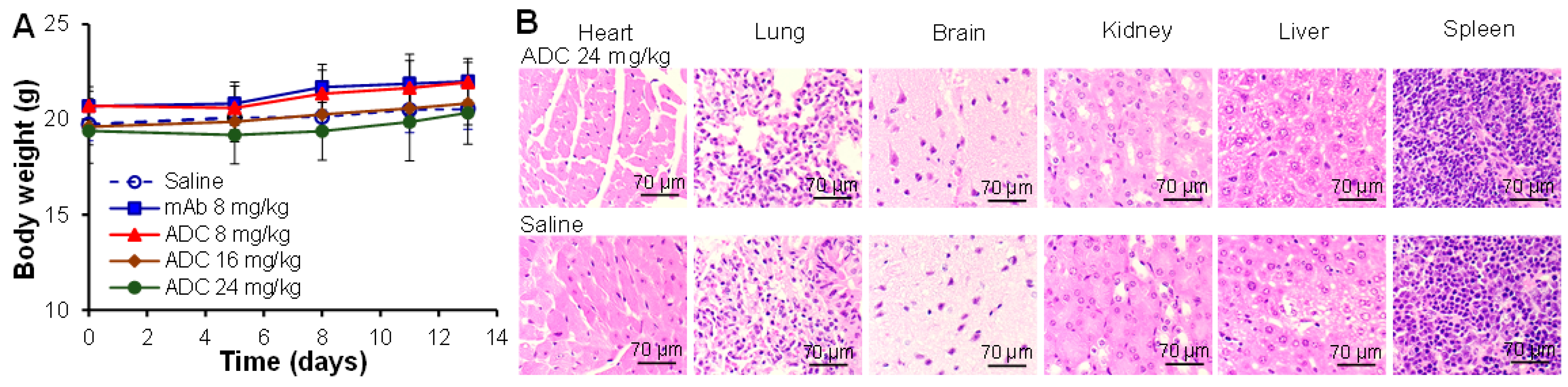 A CD276-Targeted Antibody-Drug Conjugate to Treat Non-Small Lung Cancer (NSCLC)