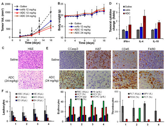 Cells | Free Full-Text | A CD276-Targeted Antibody-Drug Conjugate to ...