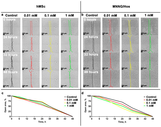 Calcein-Modified CeO2 for Intracellular ROS Detection: Mechanisms of Action and Cytotoxicity ...