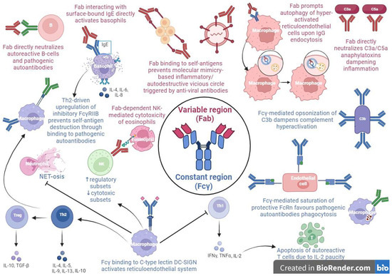 Anti-Inflammatory and Immunomodulatory Effect of High-Dose ...