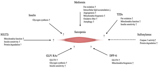 Current Nutritional and Pharmacological Approaches for Attenuating ...