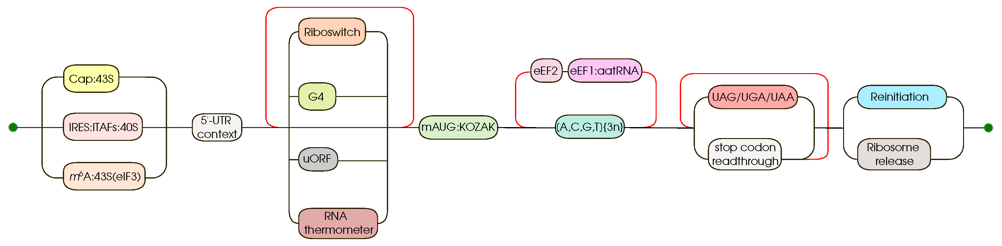 A Molecular Orchestration of Plant Translation under Abiotic Stress
