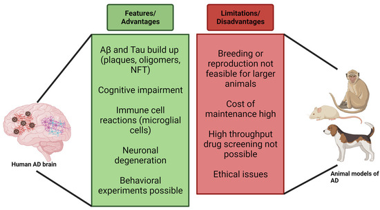 Cells | Free Full-Text | Mammalian Models in Alzheimer’s Research: An ...