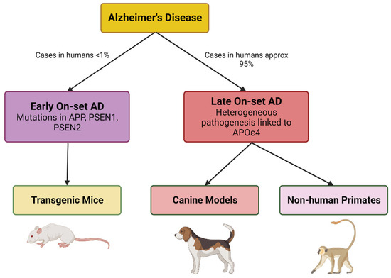 Cells | Free Full-Text | Mammalian Models in Alzheimer’s Research: An ...
