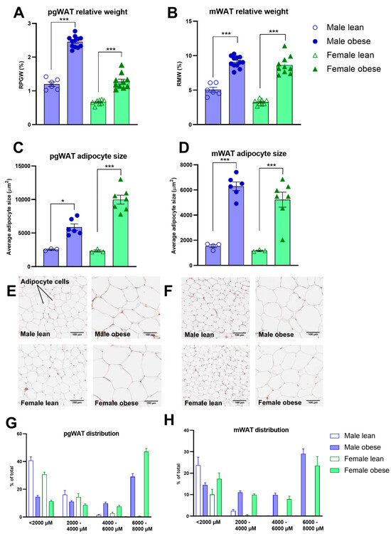 Cells | Free Full-Text | Cognitive Performance during the Development ...