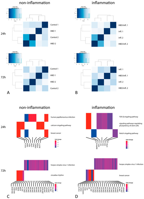 Effect of Hyperbaric Oxygen and Inflammation on Human Gingival ...