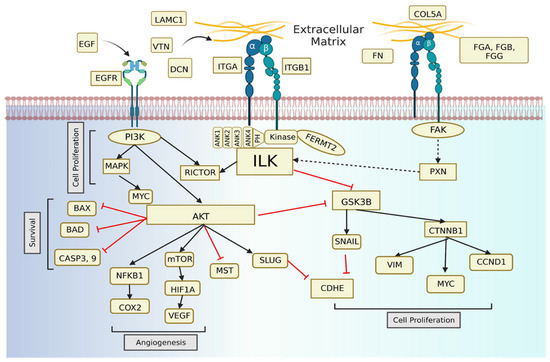 Integrated Meta-Omics Analysis Unveils the Pathways Modulating Tumorigenesis and Proliferation ...