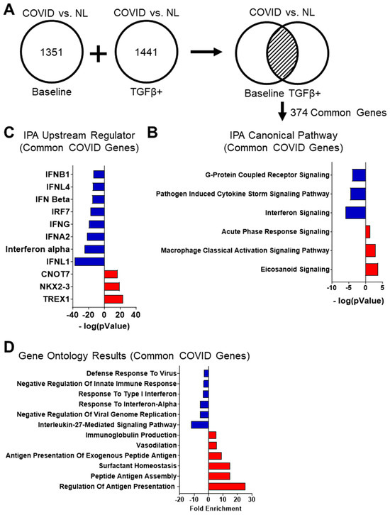 Differential Transcriptomic Signatures of Small Airway Cell Cultures ...