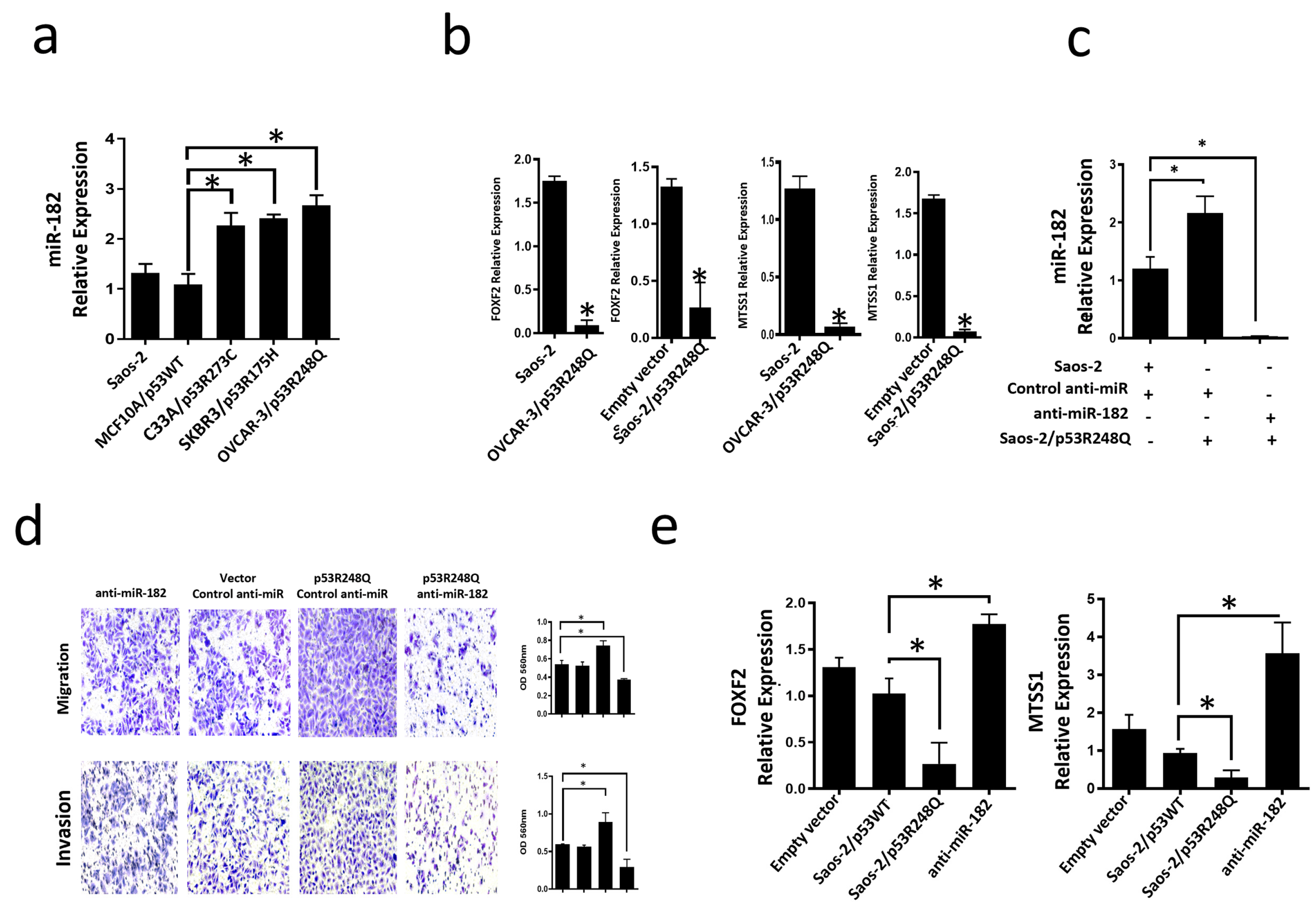 Cells Free Full Text Mutant P53 Gain Of Function Induces Migration