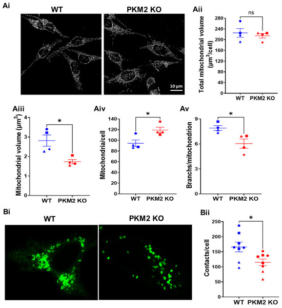 The Complex Effects of PKM2 and PKM2:IP3R Disruption on Intracellular ...