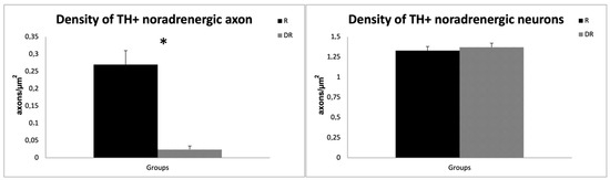 Brain Noradrenergic Innervation Supports the Development of Parkinson’s ...