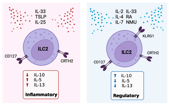 Regulatory ILC2—Role of IL-10 Producing ILC2 in Asthma