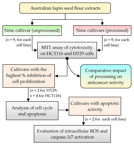 Cells | Free Full-Text | Attenuating Colorectal Cancer Using Nine ...