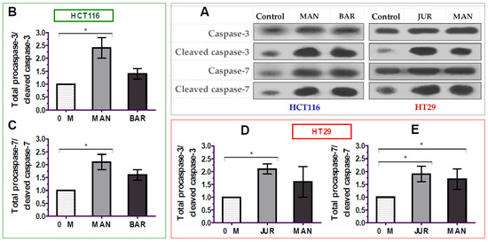 Cells | Free Full-Text | Attenuating Colorectal Cancer Using Nine ...