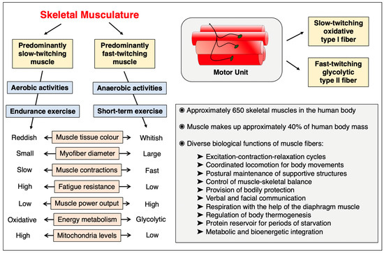 Cells | Free Full-Text | Mass Spectrometry-Based Proteomic Technology ...