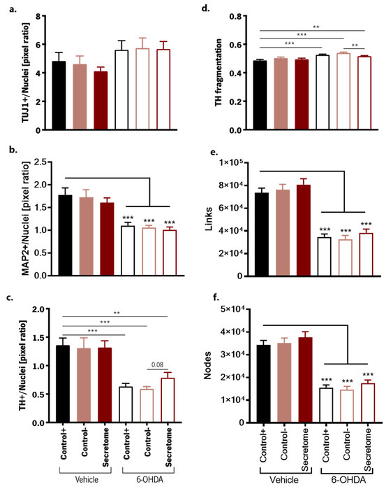 Treating Parkinson’s Disease with Human Bone Marrow Mesenchymal Stem ...