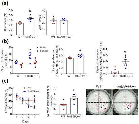 TonEBP Haploinsufficiency Attenuates Microglial Activation and Memory ...
