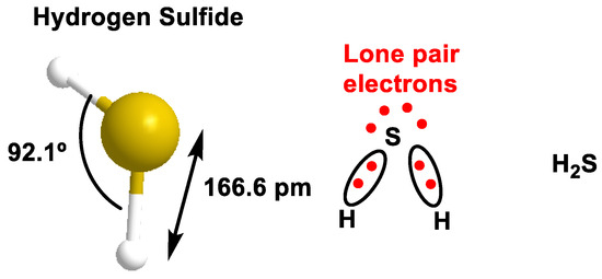 Chemistry of Hydrogen Sulfide—Pathological and Physiological Functions ...