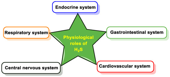 Chemistry of Hydrogen Sulfide—Pathological and Physiological Functions ...