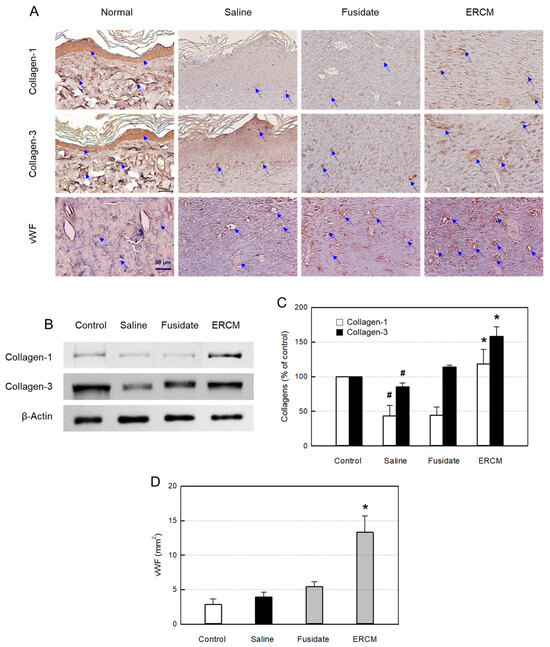 An Exosome-Rich Conditioned Medium from Human Amniotic Membrane Stem ...