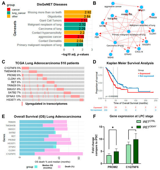Modeling RET-Rearranged Non-Small Cell Lung Cancer (NSCLC): Generation ...