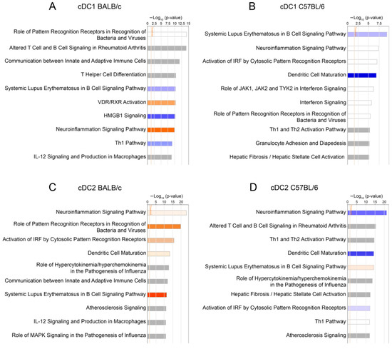 Cells | Free Full-Text | Differential Activation of Splenic cDC1 and cDC2 Cell Subsets following ...