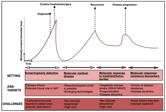 Promising and Minimally Invasive Biomarkers: Targeting Melanoma