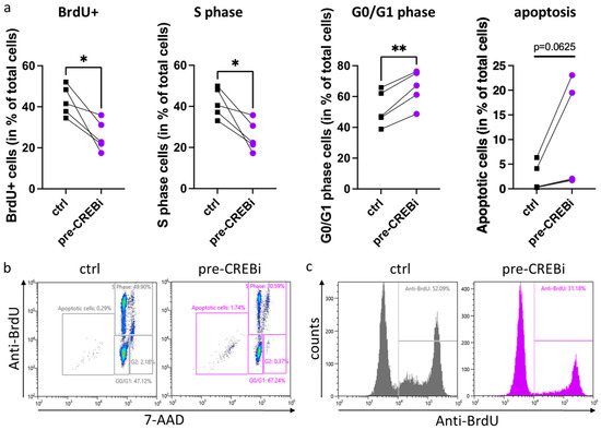 CREB Is Indispensable to KIT Function in Human Skin Mast Cells—A ...