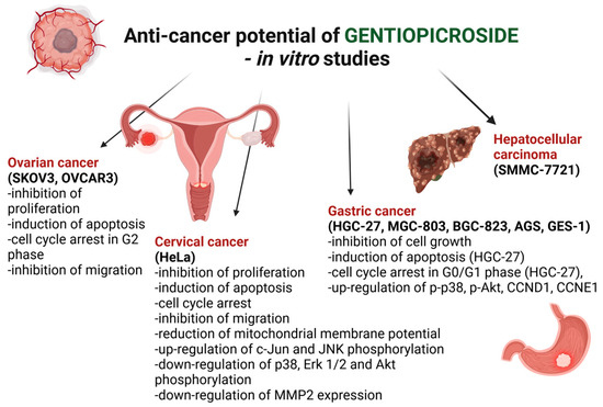 Gentiopicroside—An Insight into Its Pharmacological Significance and ...