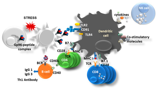 “All for One and One for All”: The Secreted Heat Shock Protein gp96-Ig ...