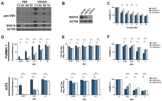 Sox10-Deficient Drug-Resistant Melanoma Cells Are Refractory to ...