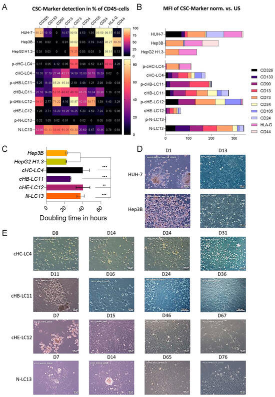 Generating Patient-Derived HCC Cell Lines Suitable for Predictive In ...