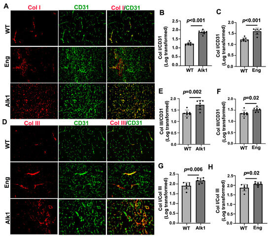 Increased Collagen I/Collagen III Ratio Is Associated with Hemorrhage ...