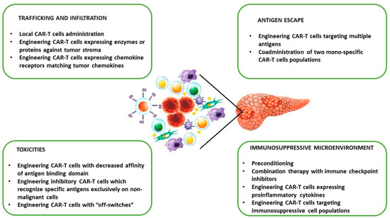 Chimeric Antigen Receptor T Cell Therapy for Pancreatic Cancer: A Review of Current Evidence