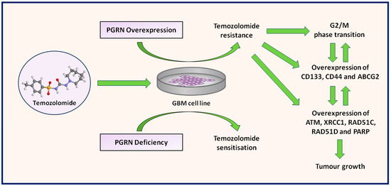The Role of Progranulin (PGRN) in the Pathogenesis of Glioblastoma ...