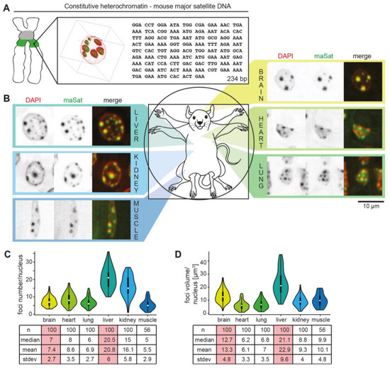 Cells Free Full Text The Proteomic Composition And Organization Of