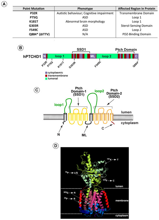Nonsynonymous Mutations in Intellectual Disability and Autism Spectrum ...