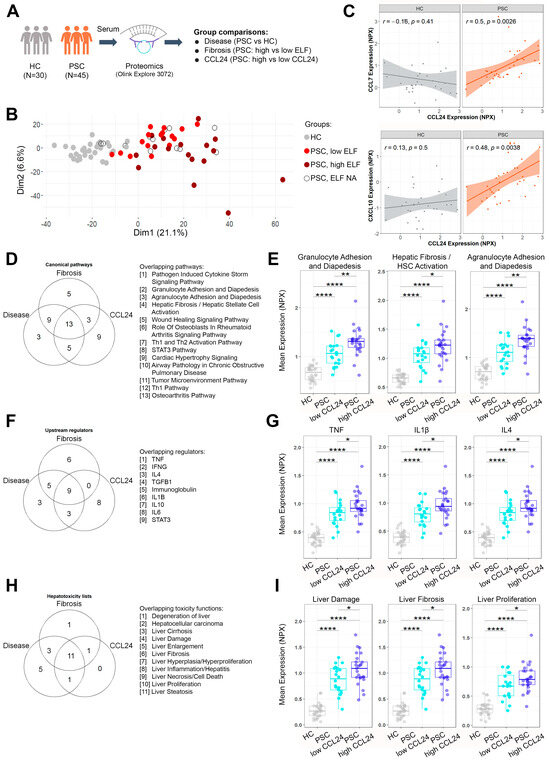 Cells | Free Full-Text | The Role of CCL24 in Primary Sclerosing ...
