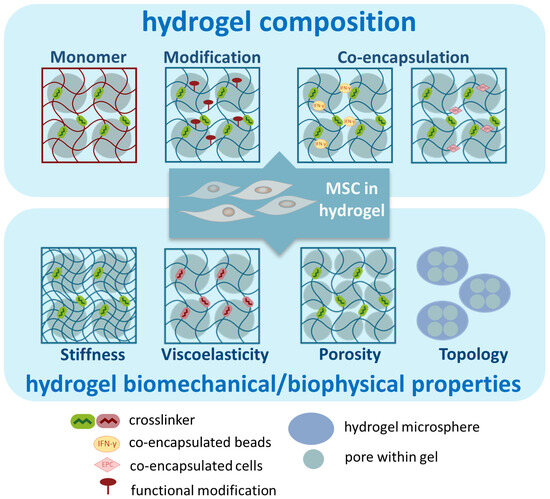 Enhancing Immunomodulatory Function of Mesenchymal Stromal Cells by ...