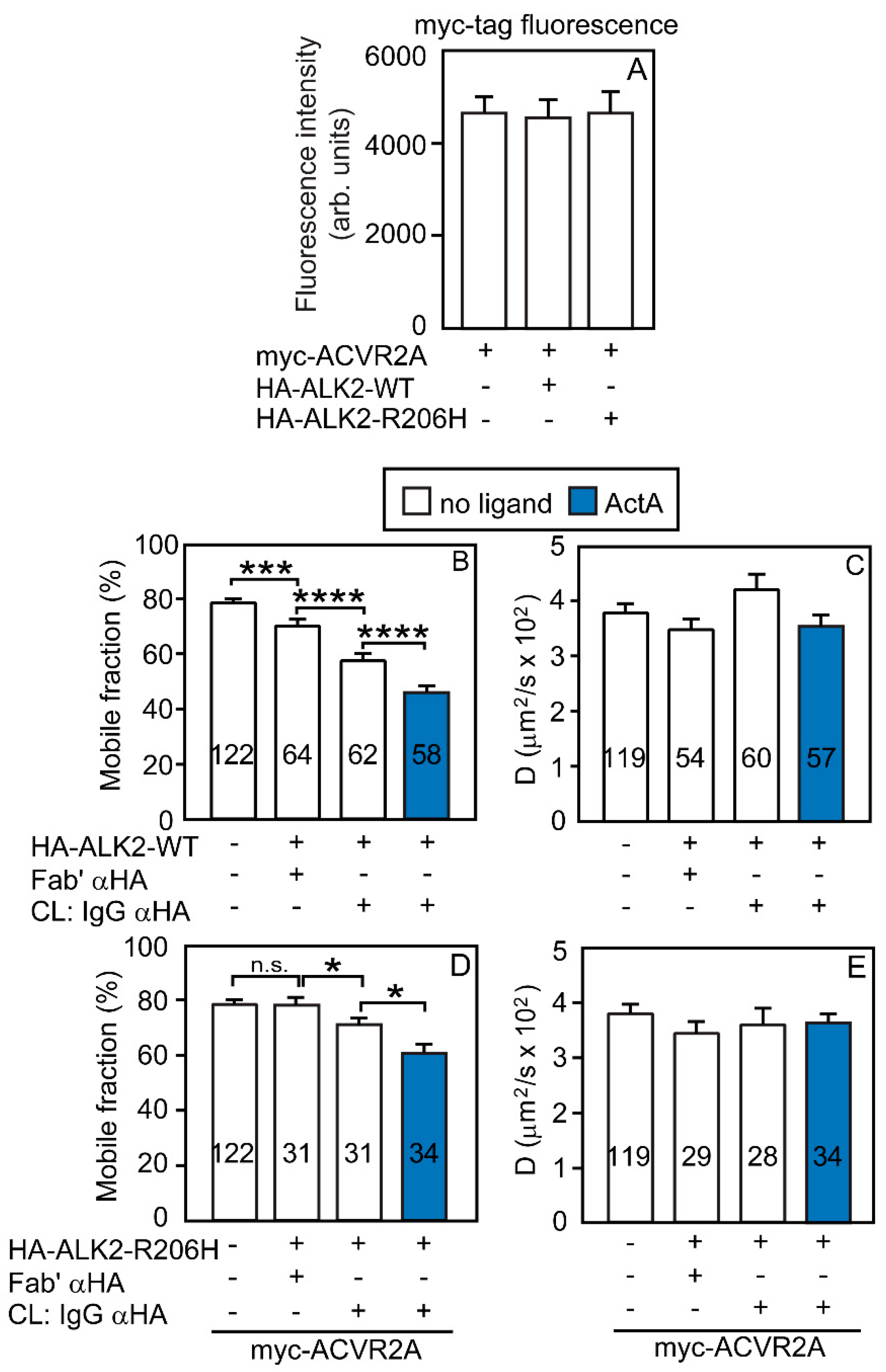 Cells | Free Full-Text | The Activation of the Fibrodysplasia ...