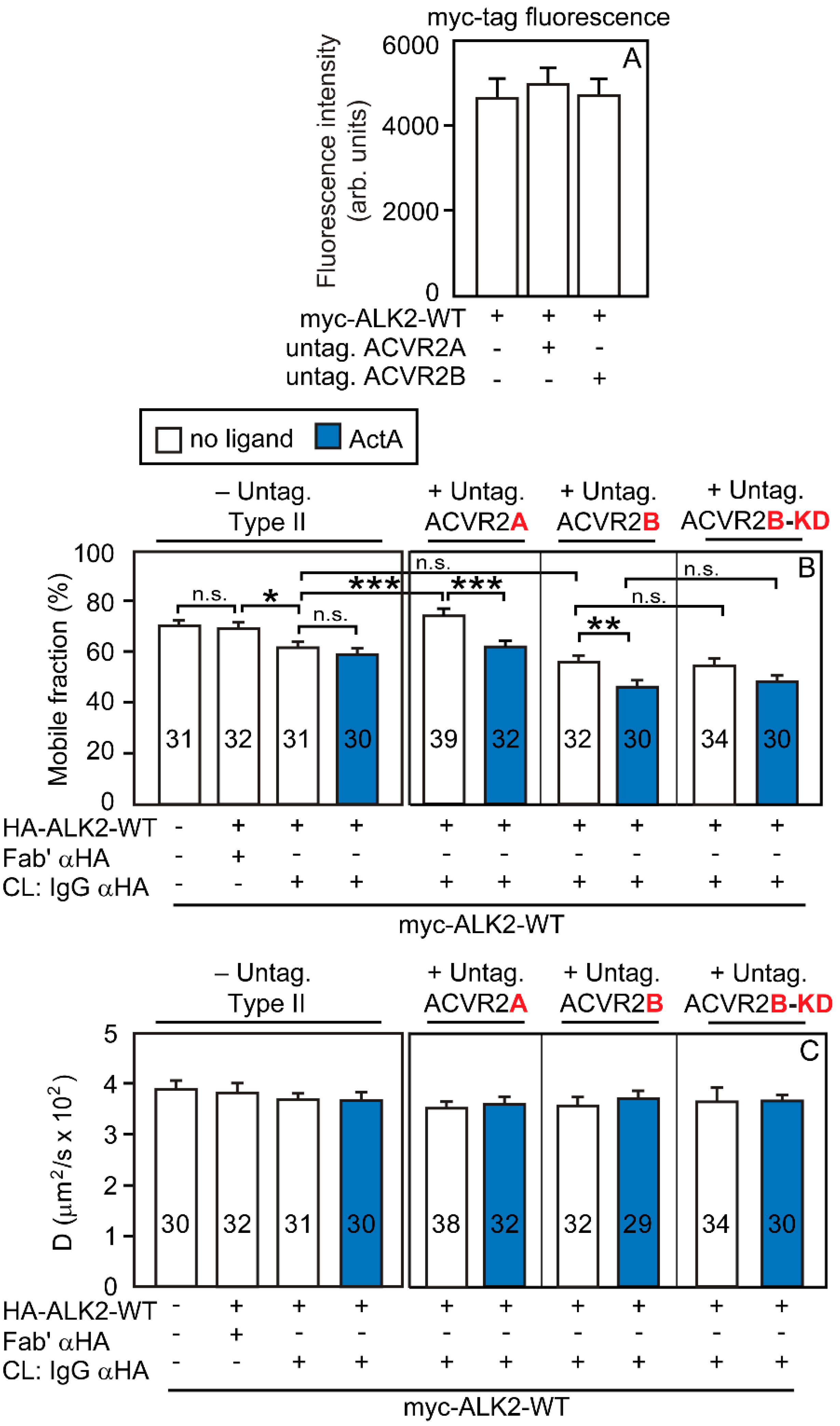 Cells | Free Full-Text | The Activation of the Fibrodysplasia ...