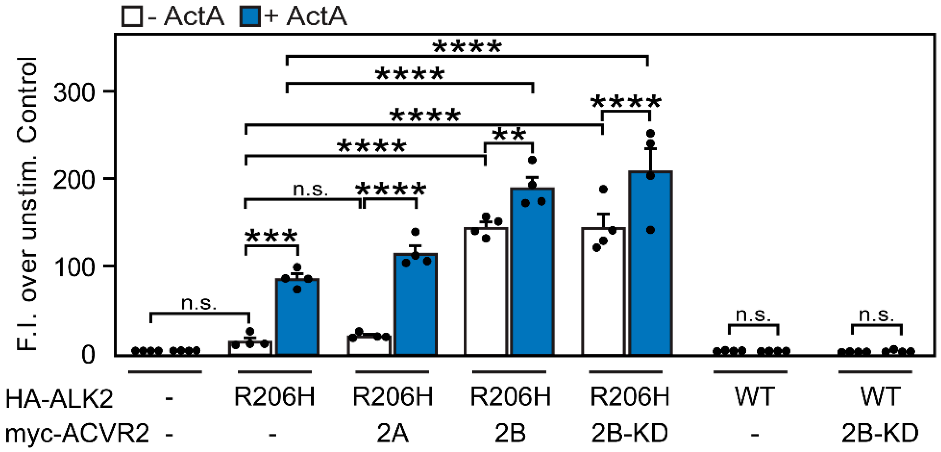 Cells | Free Full-Text | The Activation of the Fibrodysplasia ...