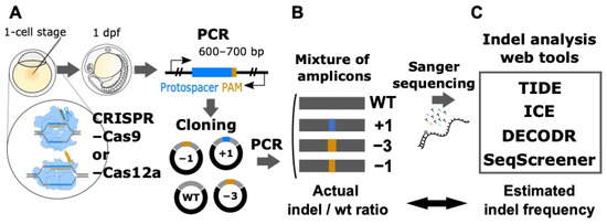Systematic Comparison of Computational Tools for Sanger Sequencing-Based Genome Editing Analysis